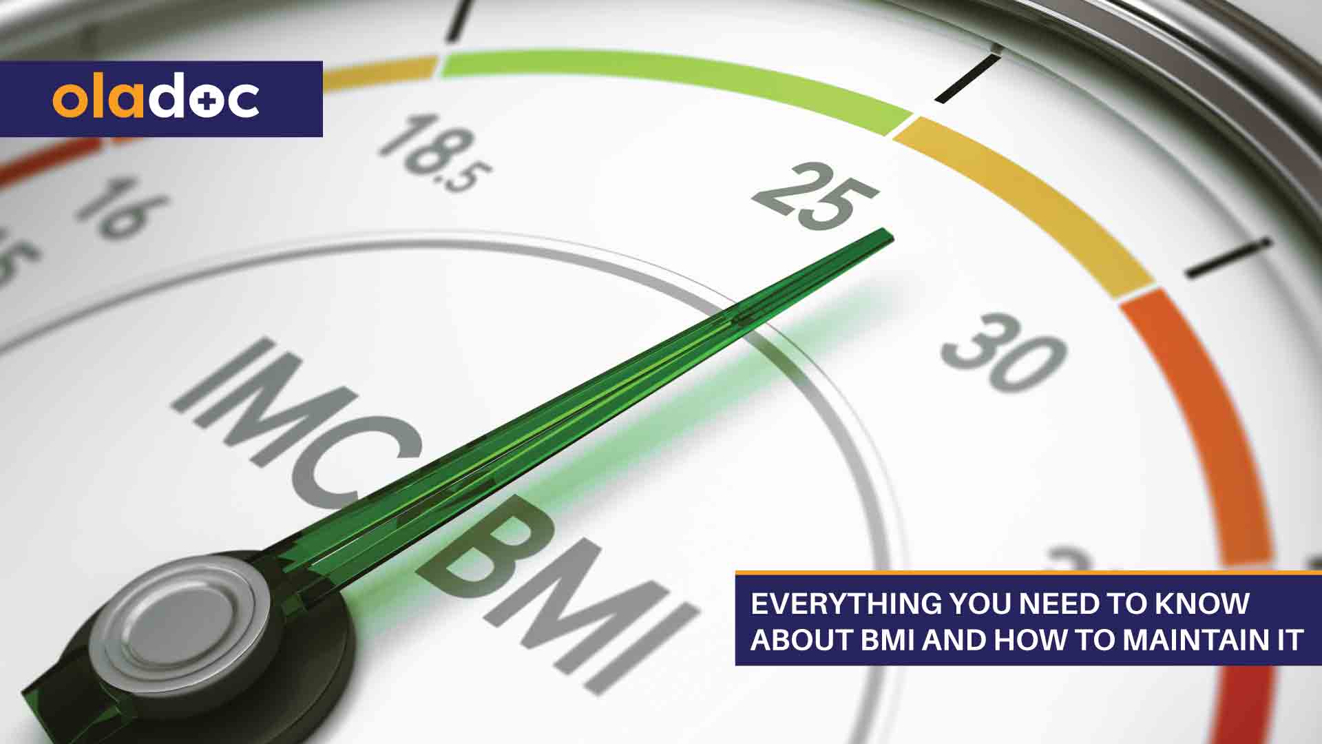 Everything You Need to Know About BMI and How to Maintain It | Diet and ...